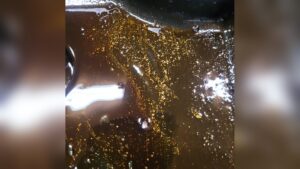 Does Metal Shavings in Oil Mean Your Motor is Gone?